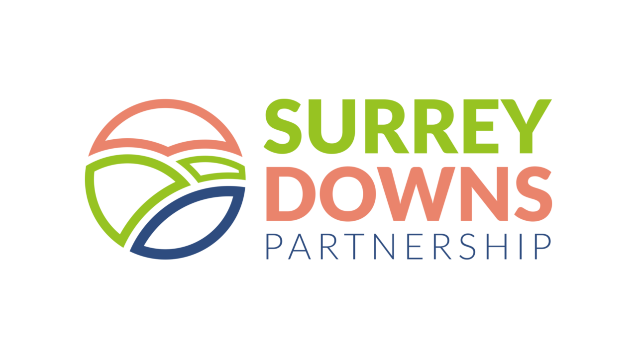 Surrey Downs Partnership - Wayland Creative